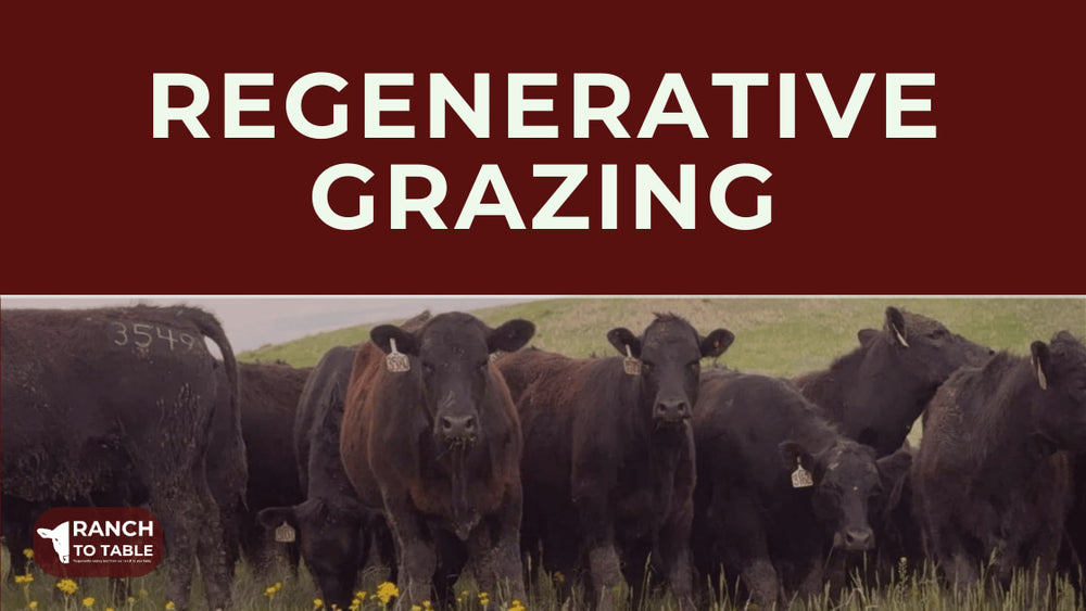 Ranch to Table | Fresh, Local Certified Angus Beef from Our Family Ran ...